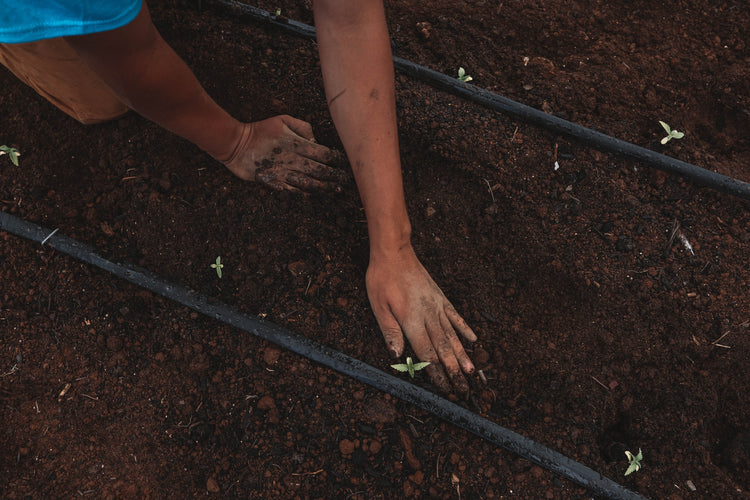 About Us – Perma Pastures Farm