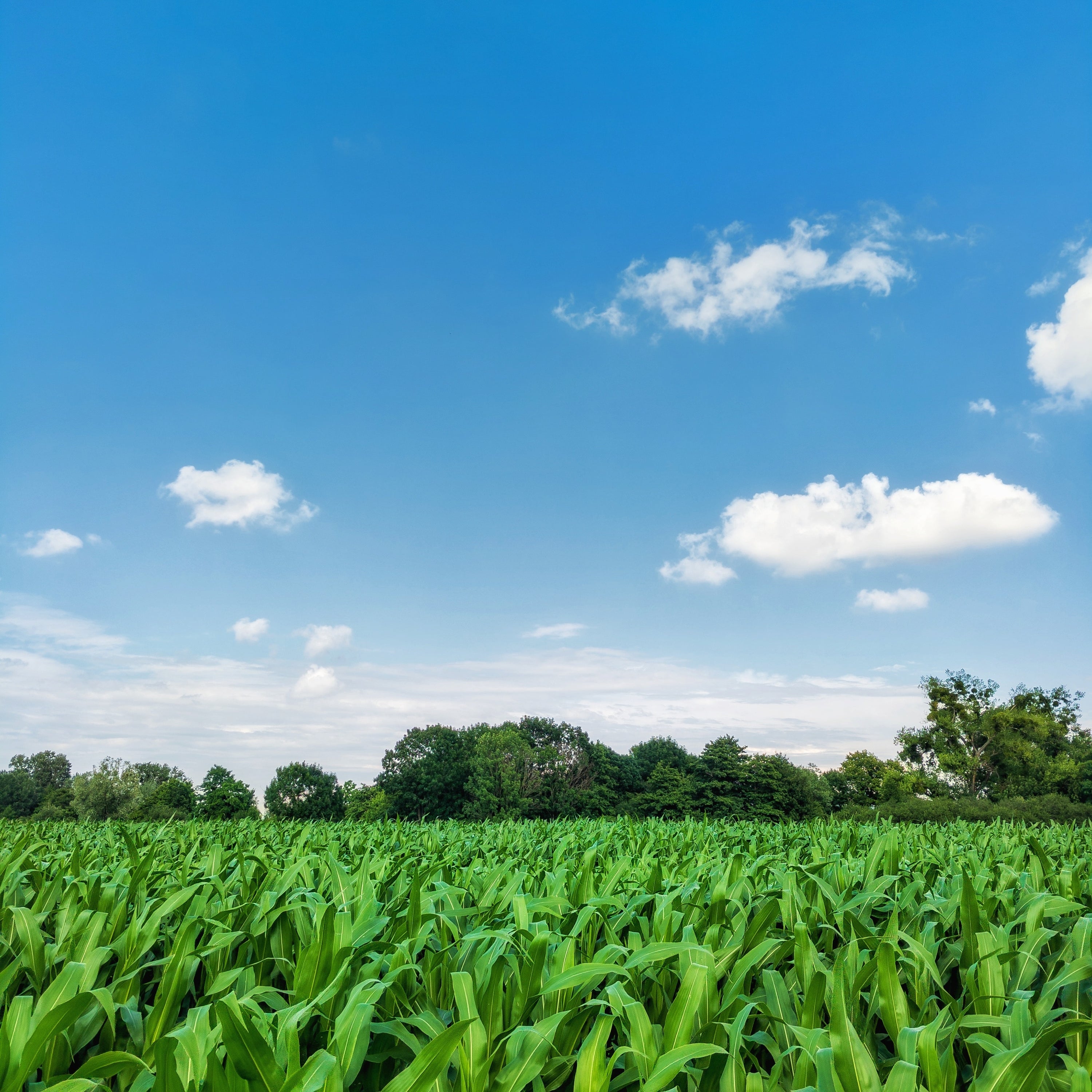 Perma Pastures Farm