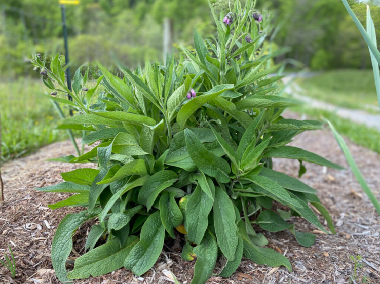 Perma Pastures Farm